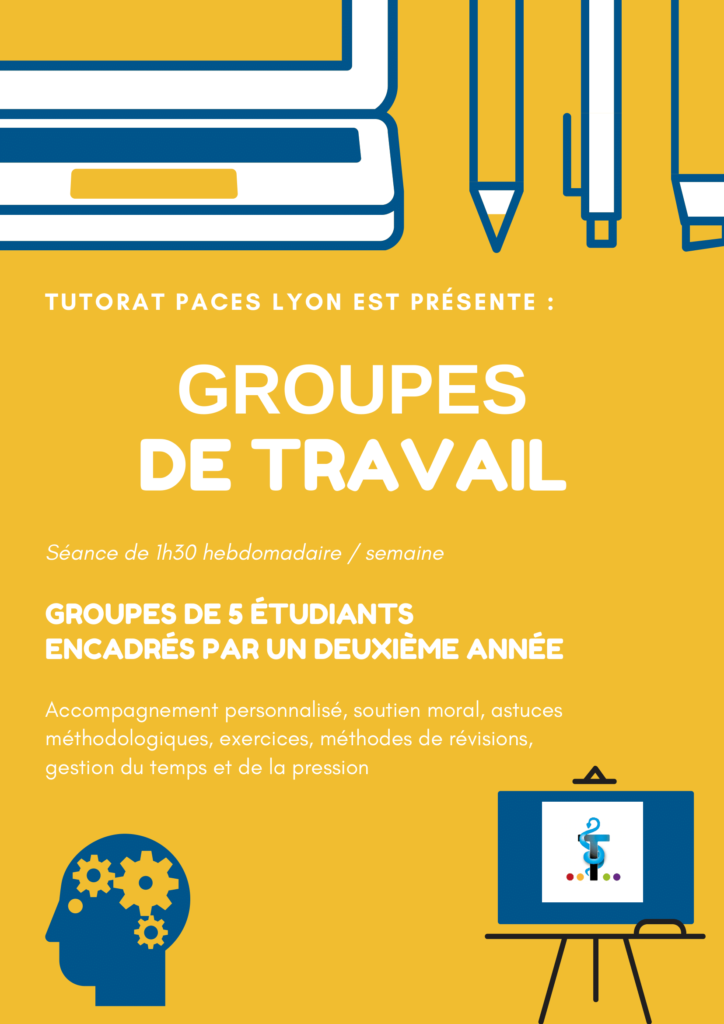 Tutorat Lyon Est