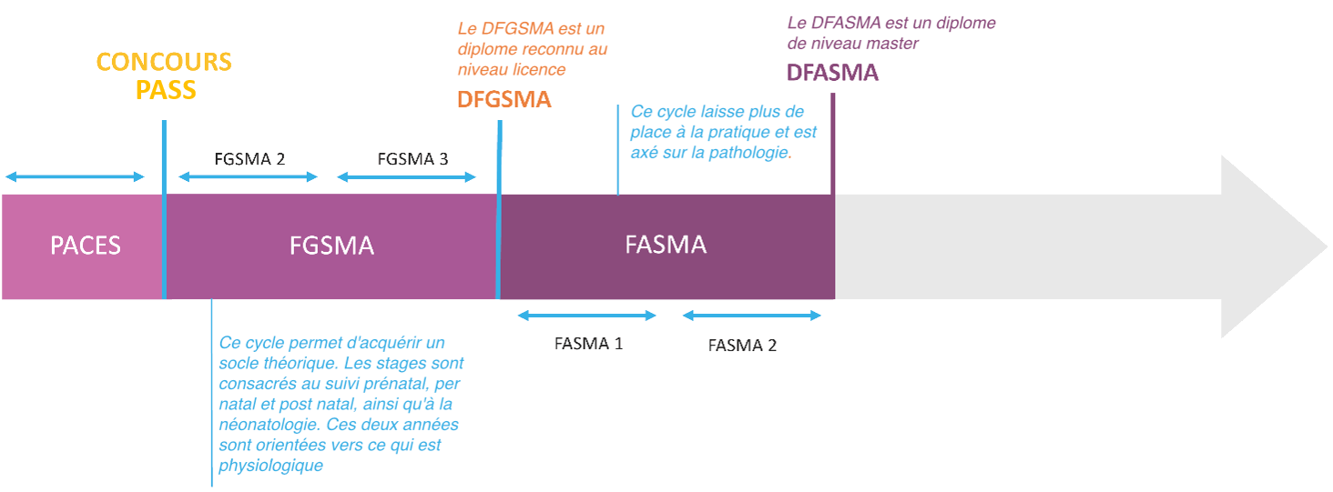 La Maïeutique – Tutorat Lyon Est