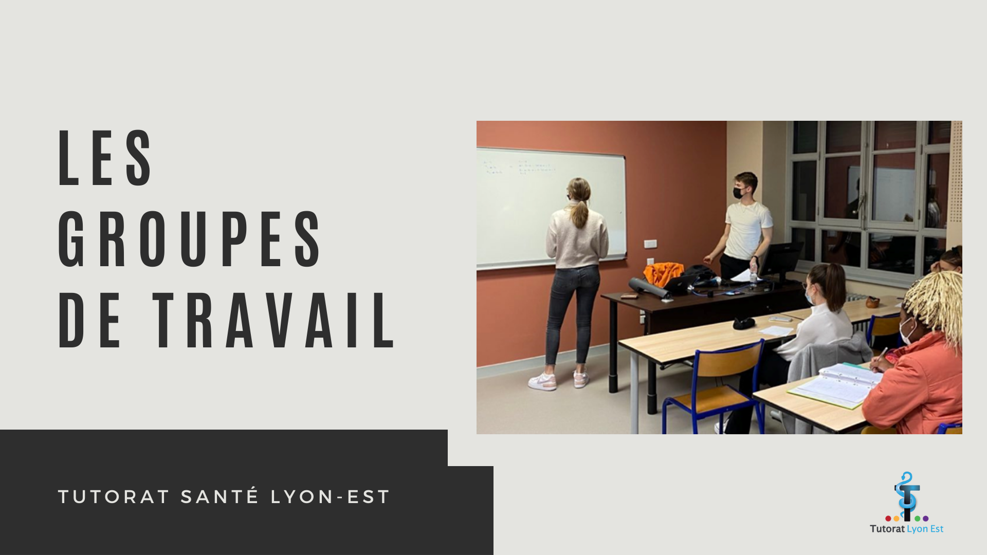 Les Groupes de Travail – Tutorat Lyon Est